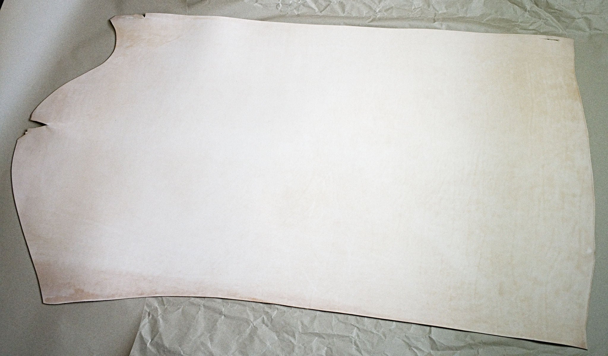 The Bend Cut. Your Guitar's Protection Against Gravity | Bison Boa